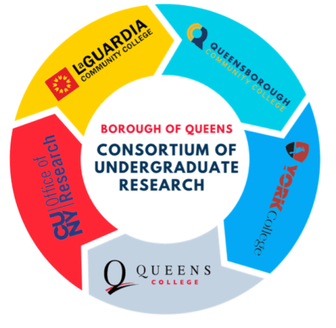 Borough of Queens - Undergraduate Research Consortium - Undergraduate ...