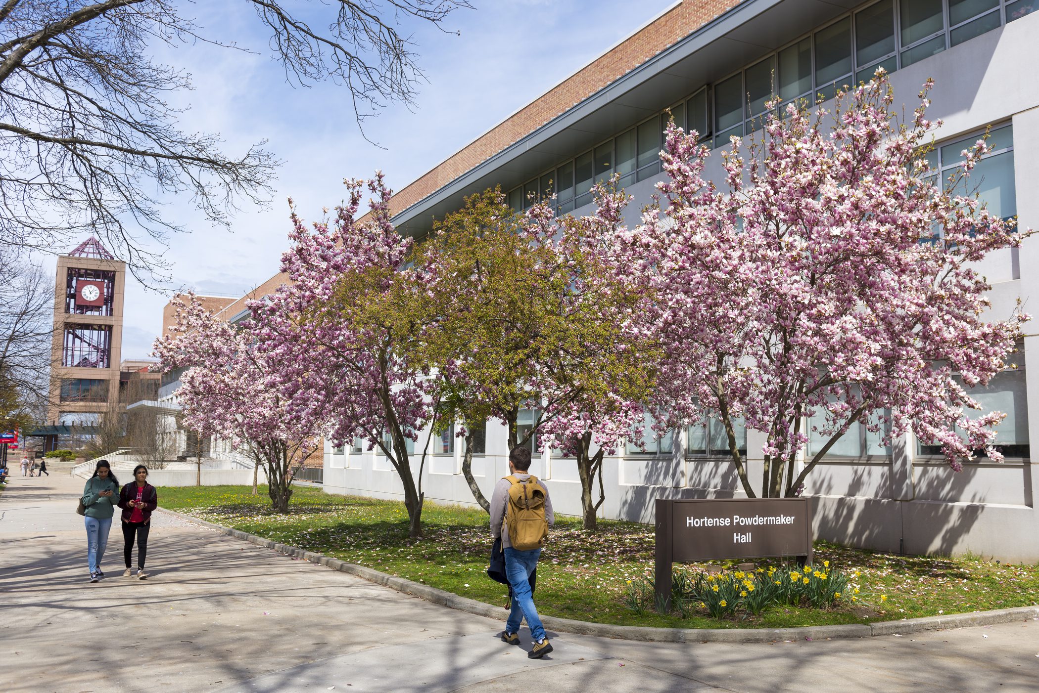 Incoming Partners - Study Abroad