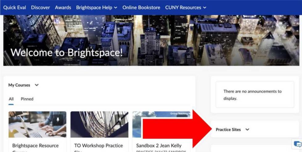 Brightspace Create a Practice Site | Queens College, CUNY